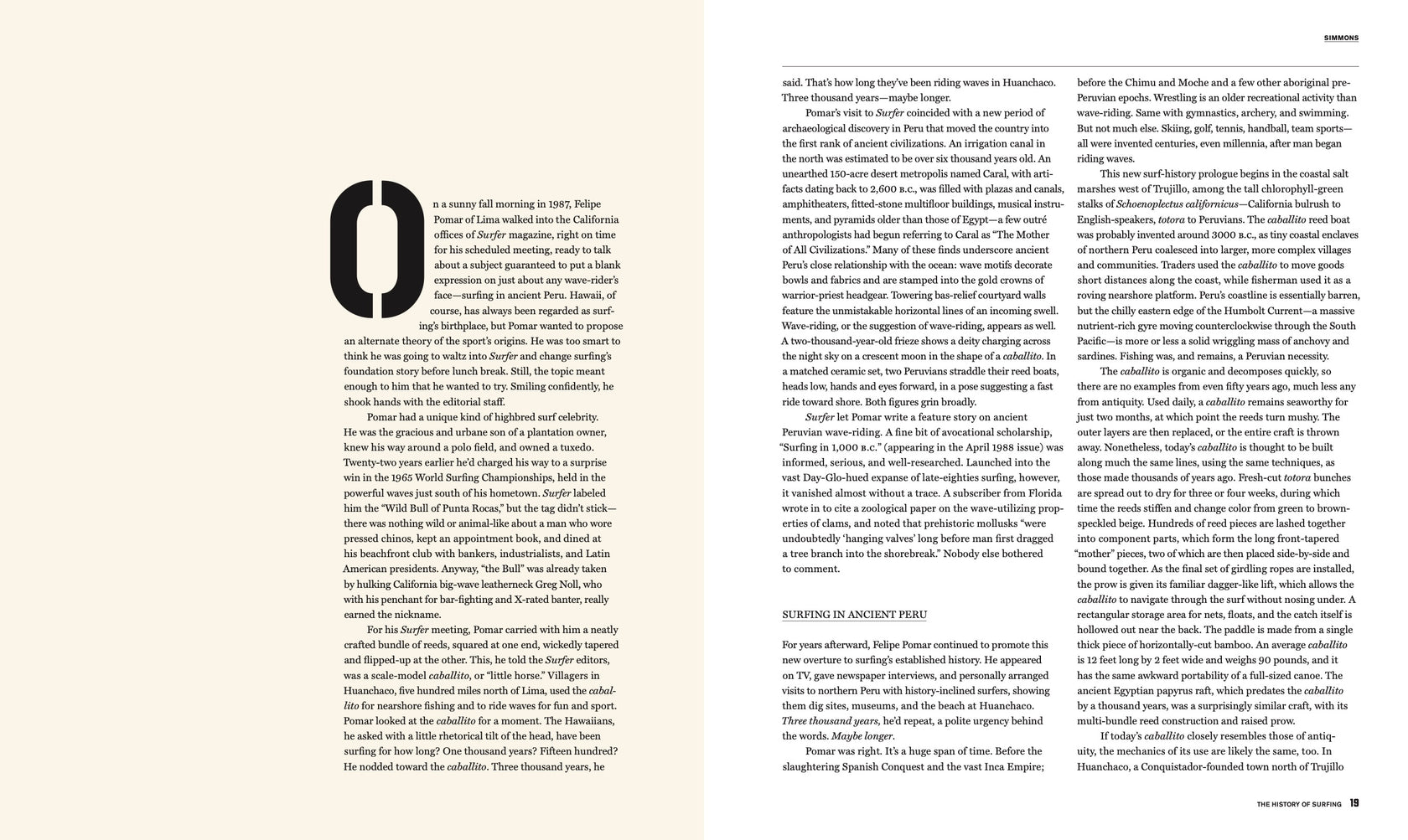 The History of Surfing by Matt Warshaw | REBEL FIN